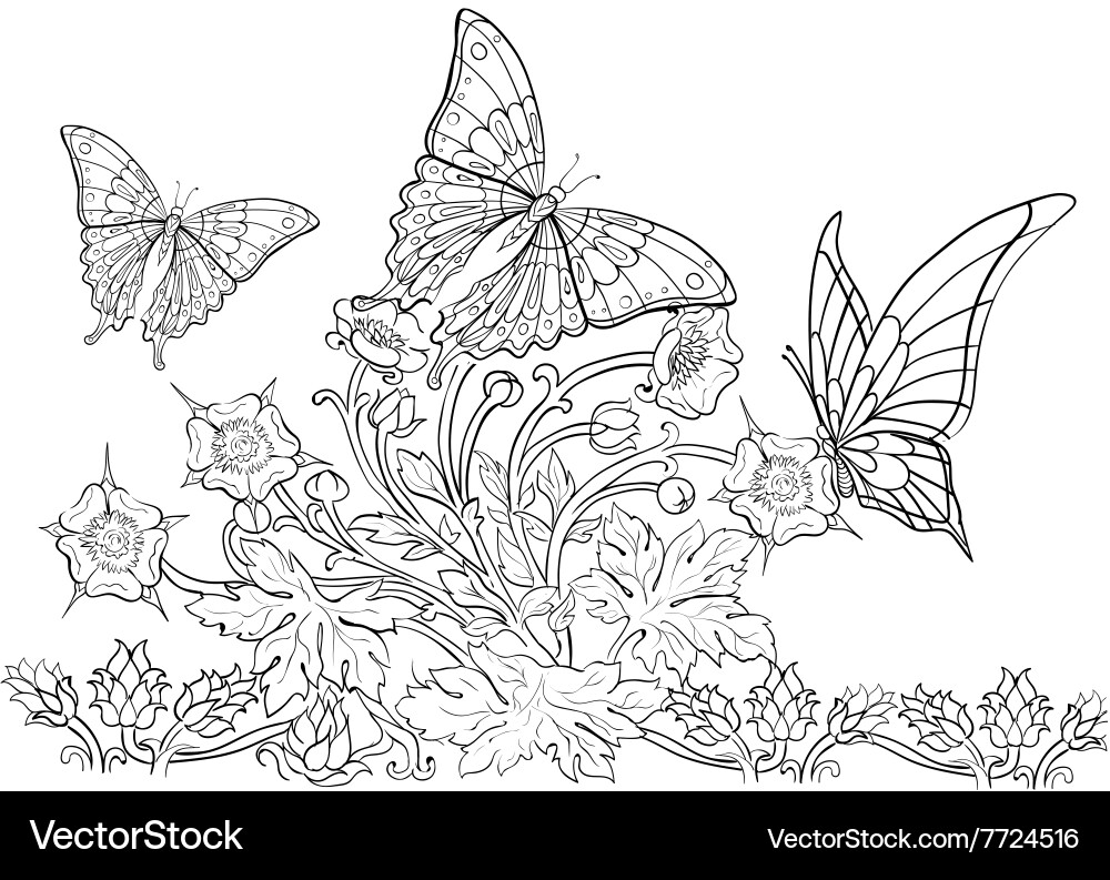 Coloring book for adult Royalty Free Vector Image