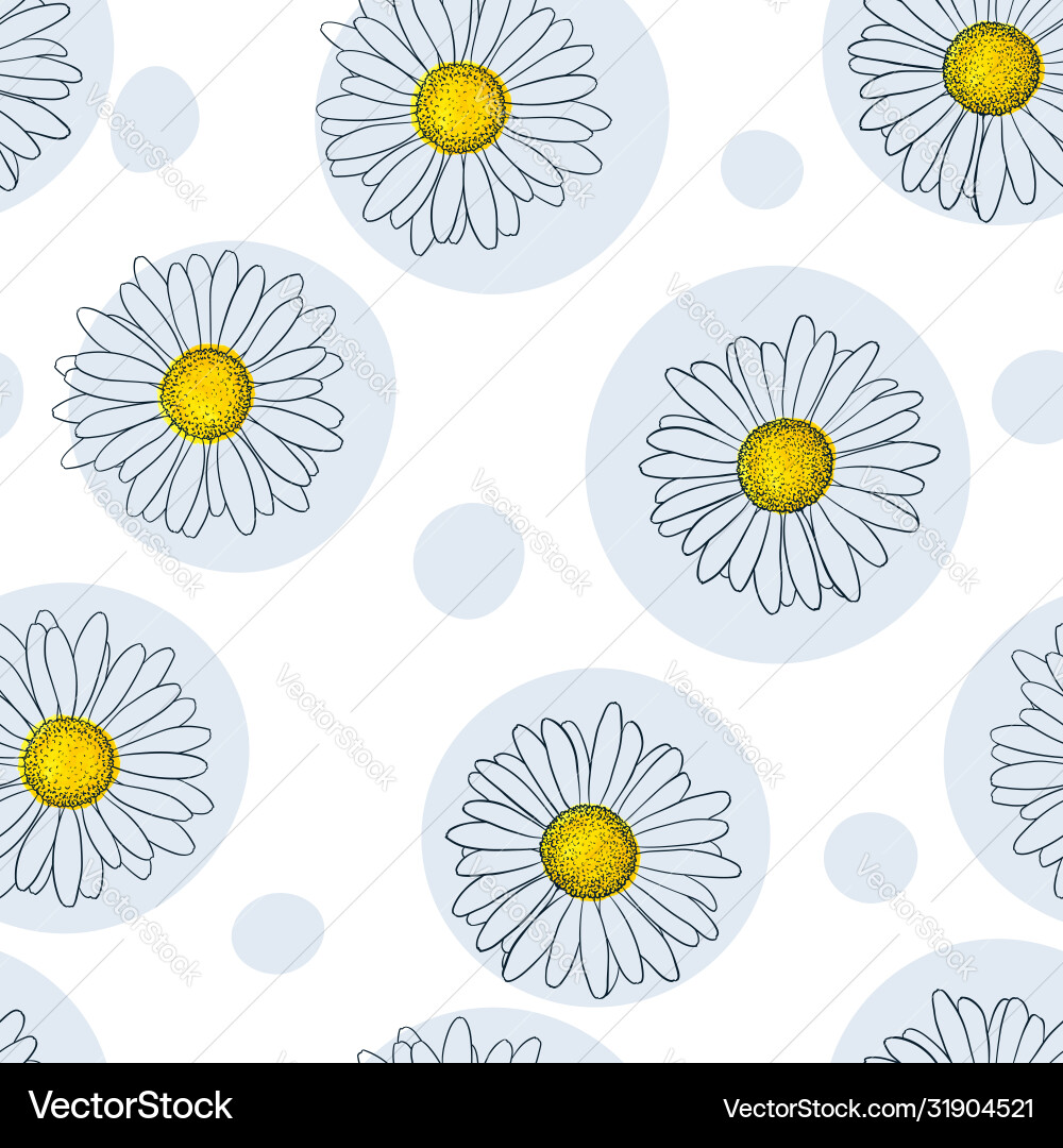 Beautiful seamless pattern with outline daisy Vector Image