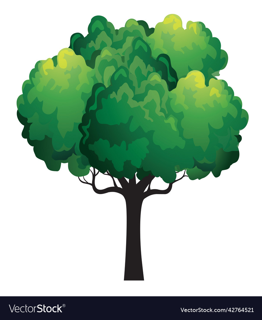 Green tree eps outline Royalty Free Vector Image