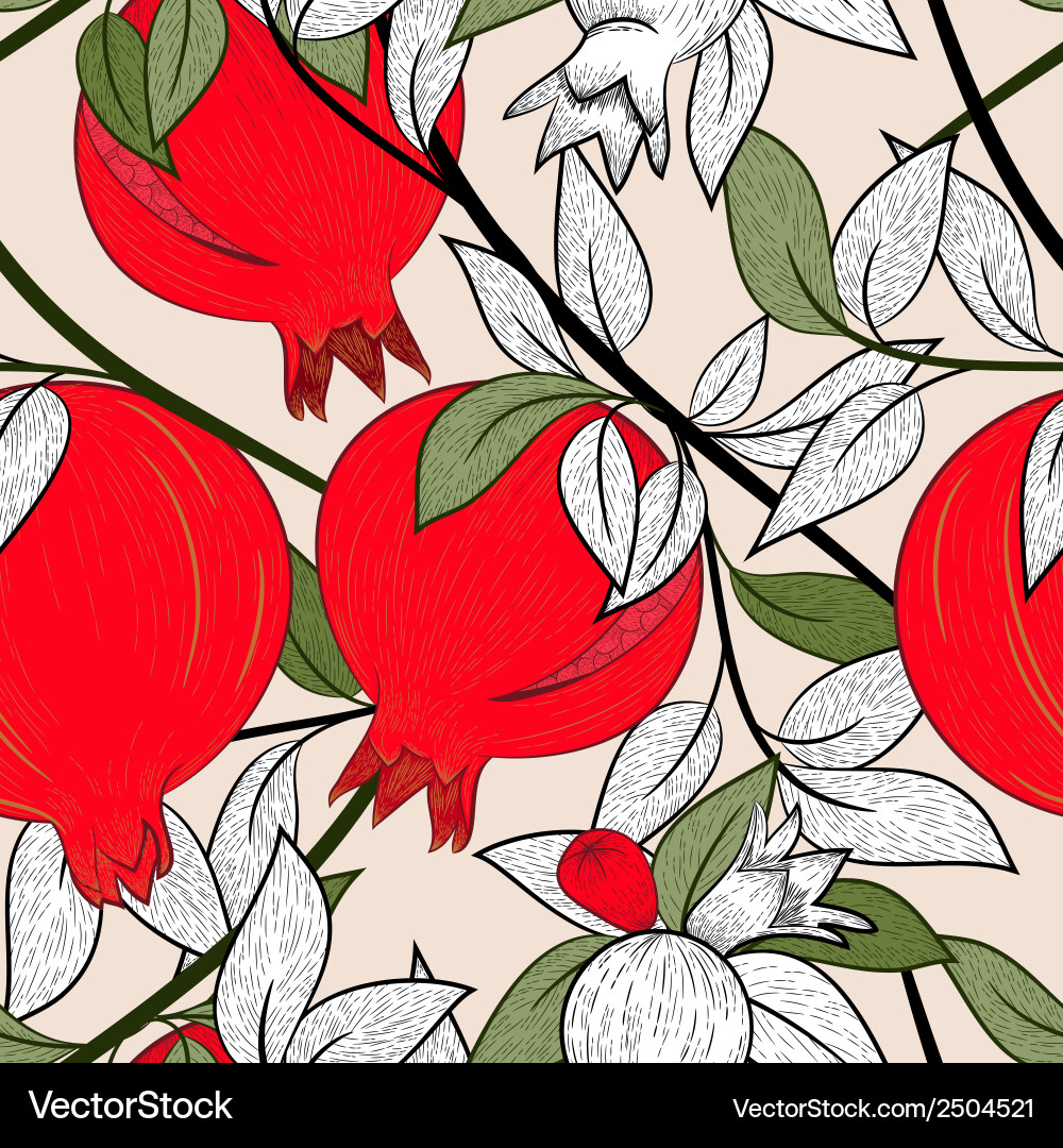 Pomegranate Royalty Free Vector Image - VectorStock