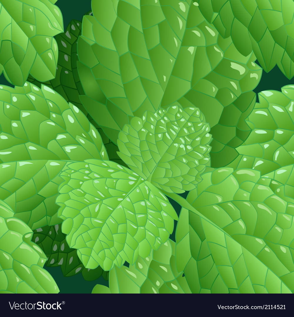 Seamless mint background Royalty Free Vector Image