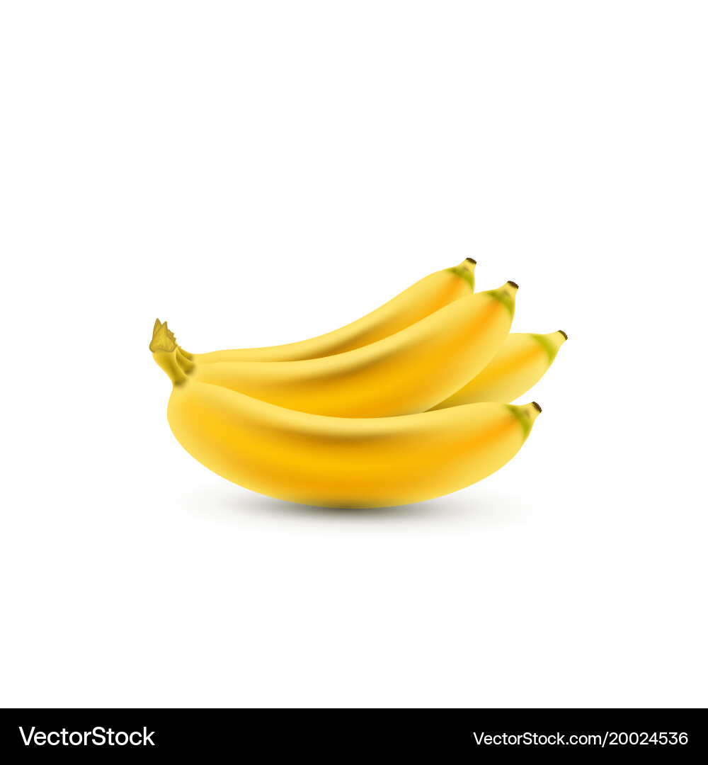 Banana realistic isolated bananas Royalty Free Vector Image