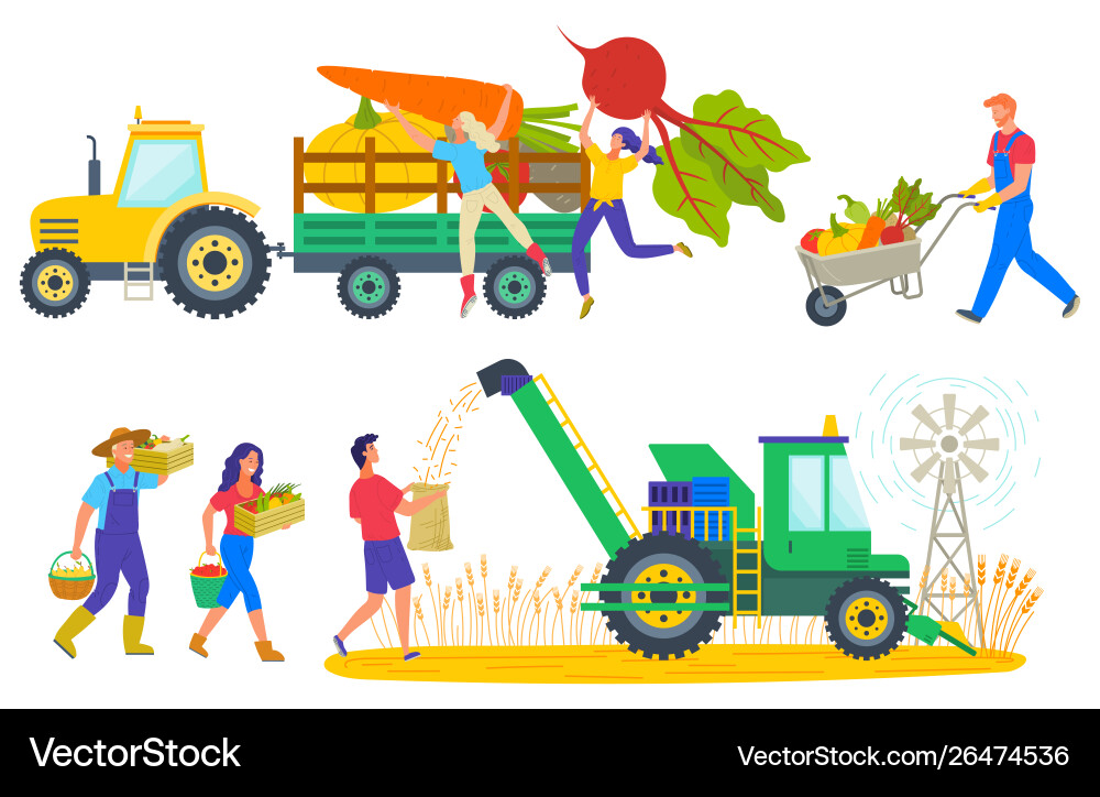 People harvesting characters on field harvest Vector Image