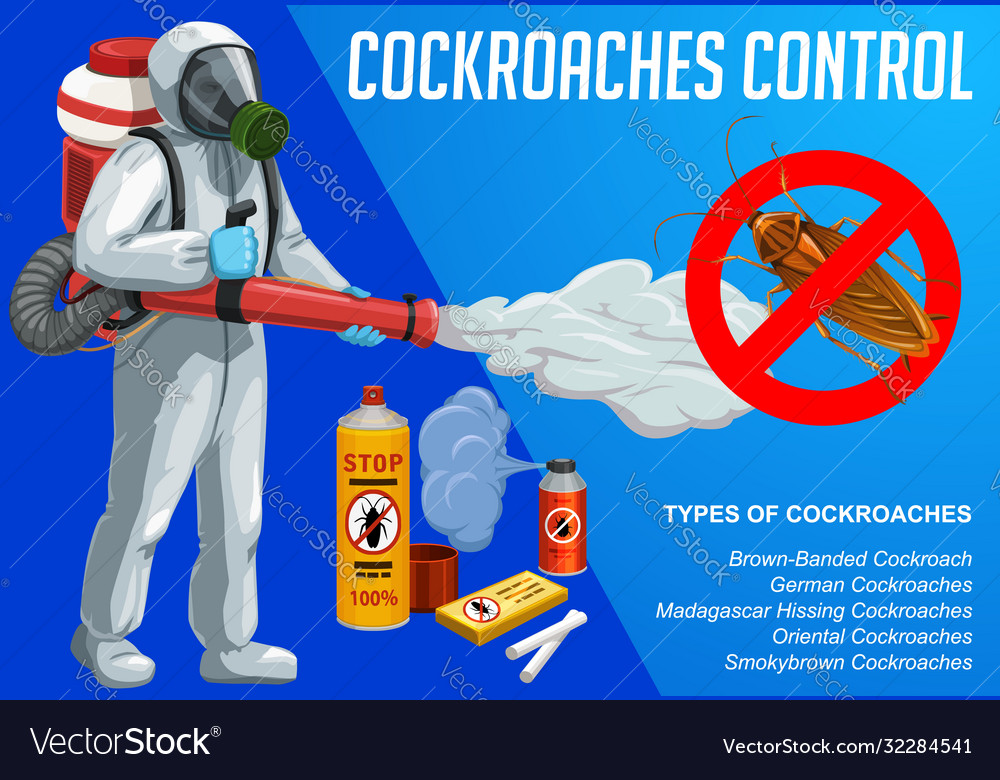 Cockroach insect control with cold fogging method Vector Image
