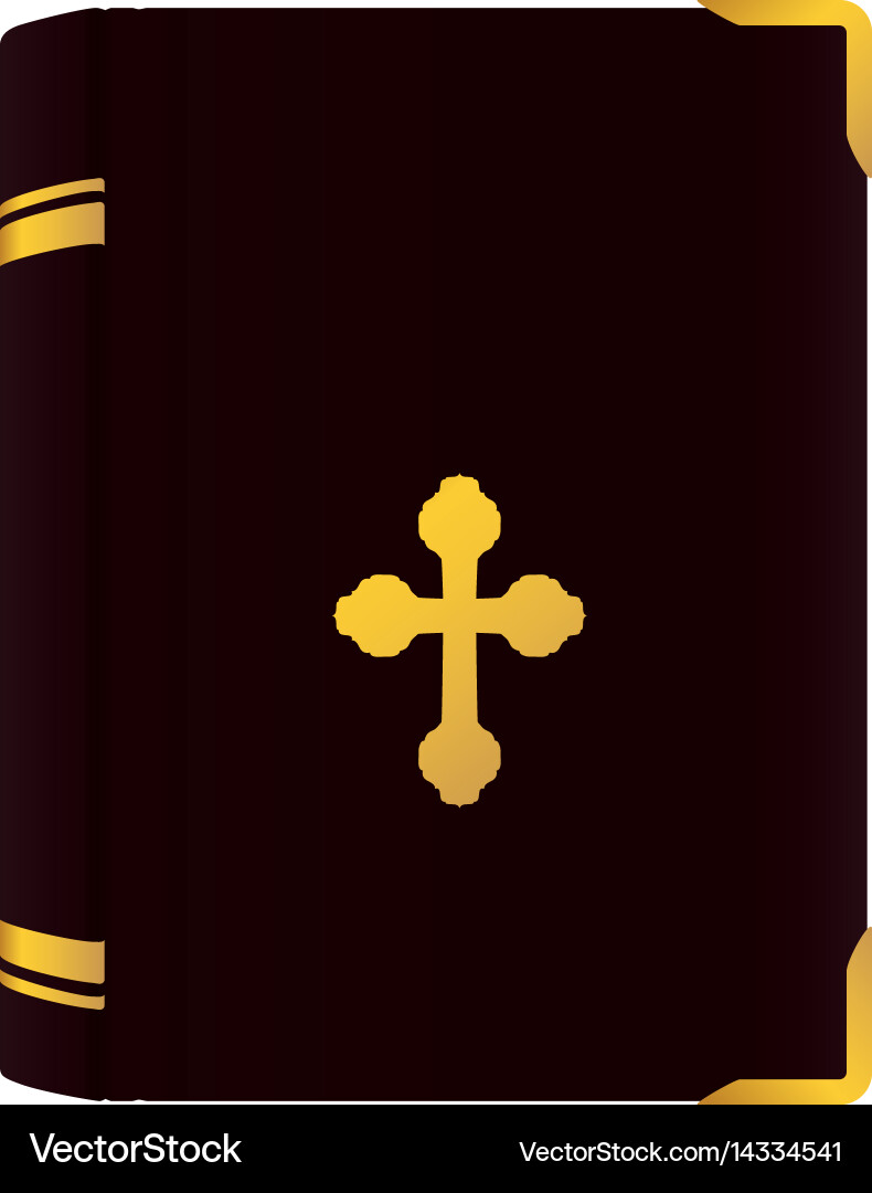 Holy bible christianity symbol Royalty Free Vector Image