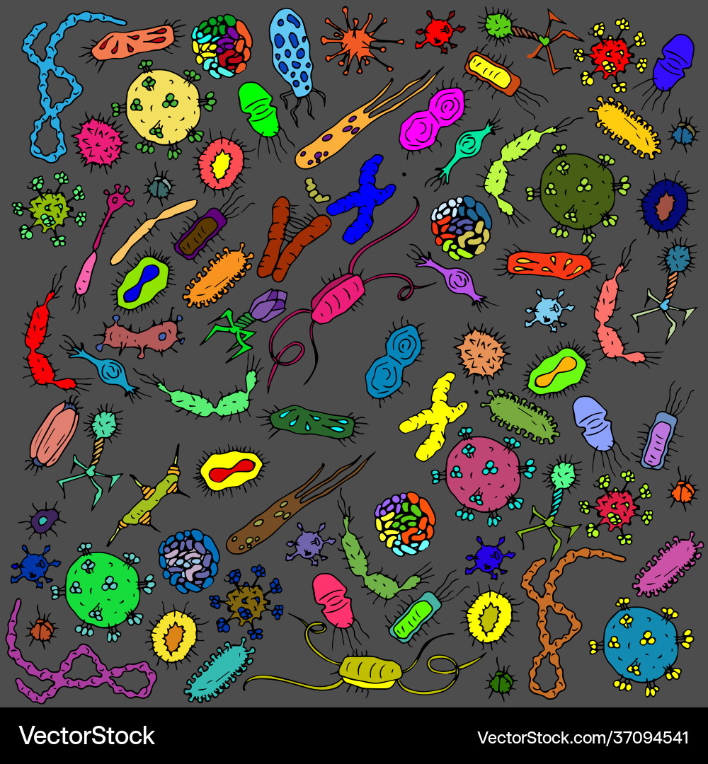 Viruses and bacteria color doodle Royalty Free Vector Image