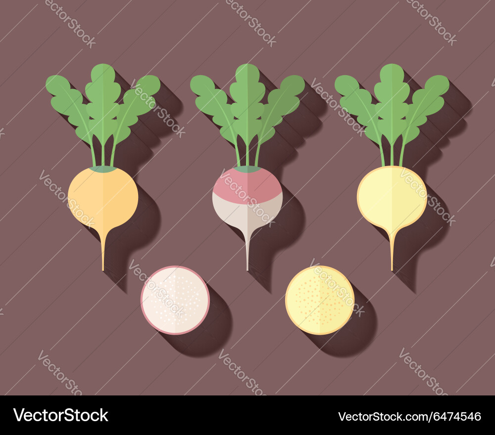 A set of vegetables in flat style - turnip Vector Image