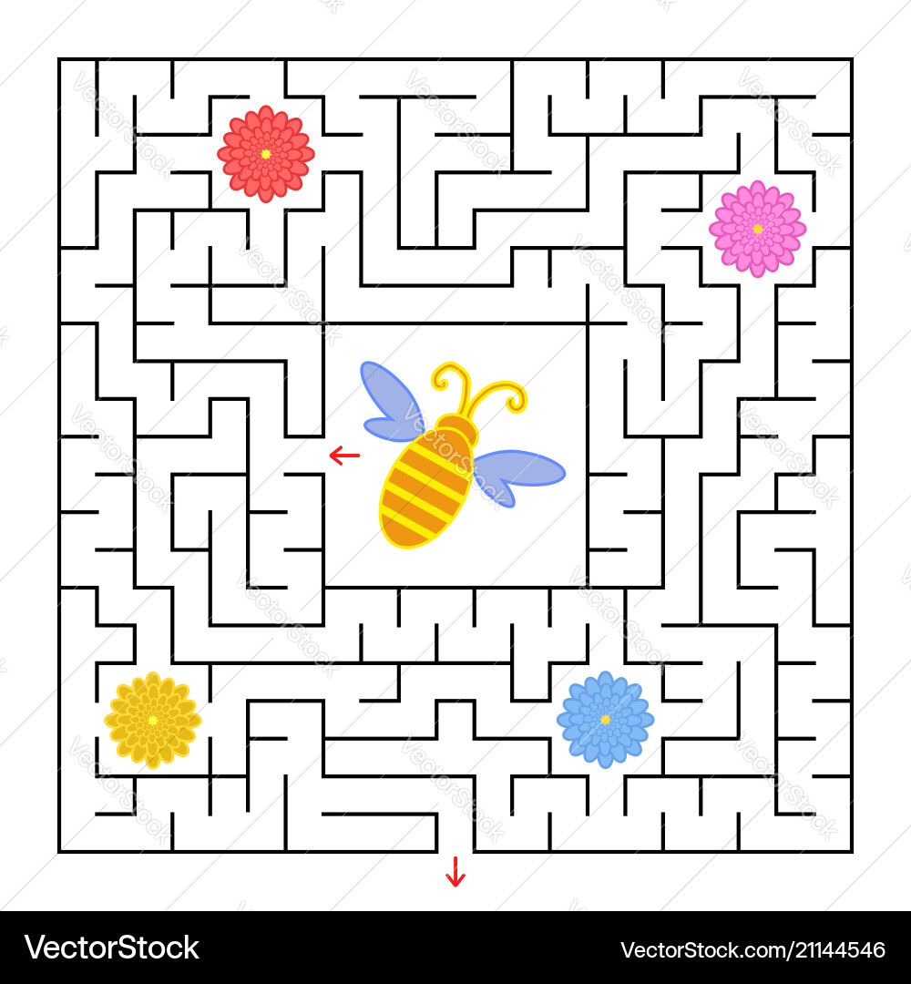 A square labyrinth help the bee to find way out Vector Image