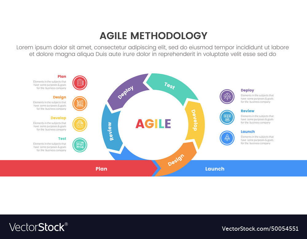 Agile sdlc methodology infographic 7 point stage Vector Image Agile sdlc methodology infographic 7 point stage Vector Image