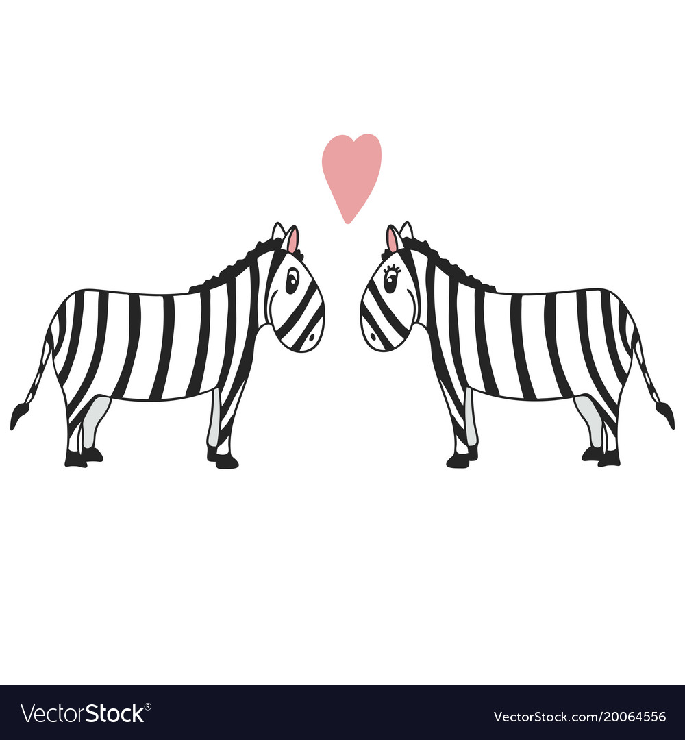 Hand drawn a pair zebras Royalty Free Vector Image