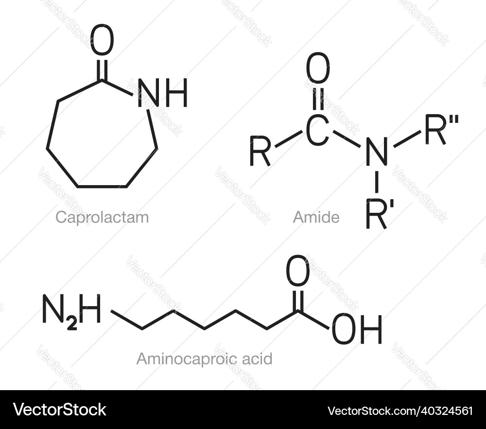 Caprolactam amide and aminocaproic acid Royalty Free Vector