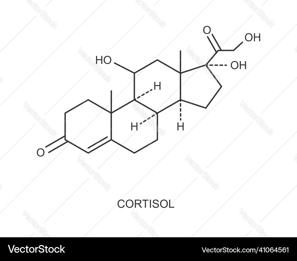 Cortisol hormone icon hydrocortisone chemical Vector Image