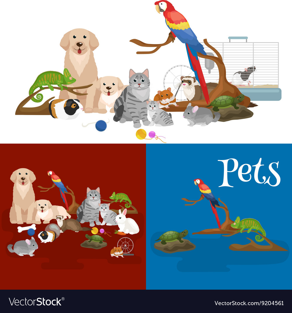 Home pets set cat dog parrot goldfish hamster Vector Image