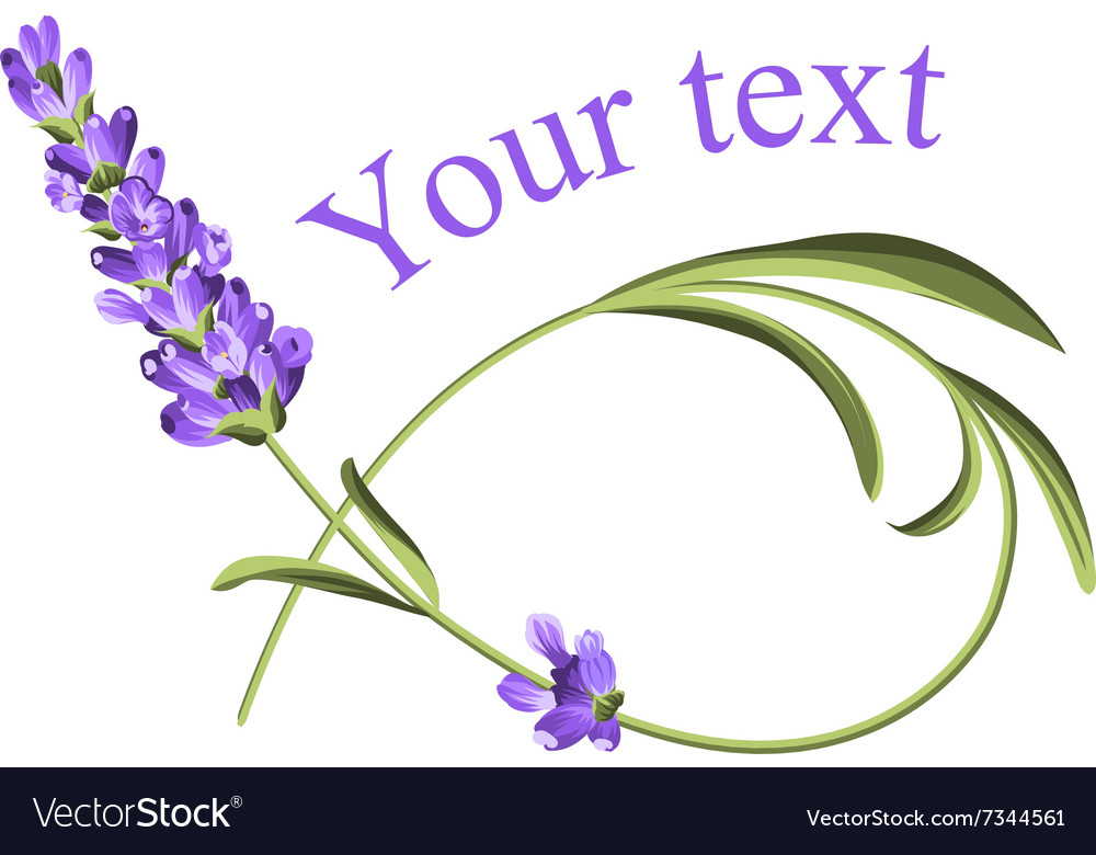 Your text template Royalty Free Vector Image - VectorStock