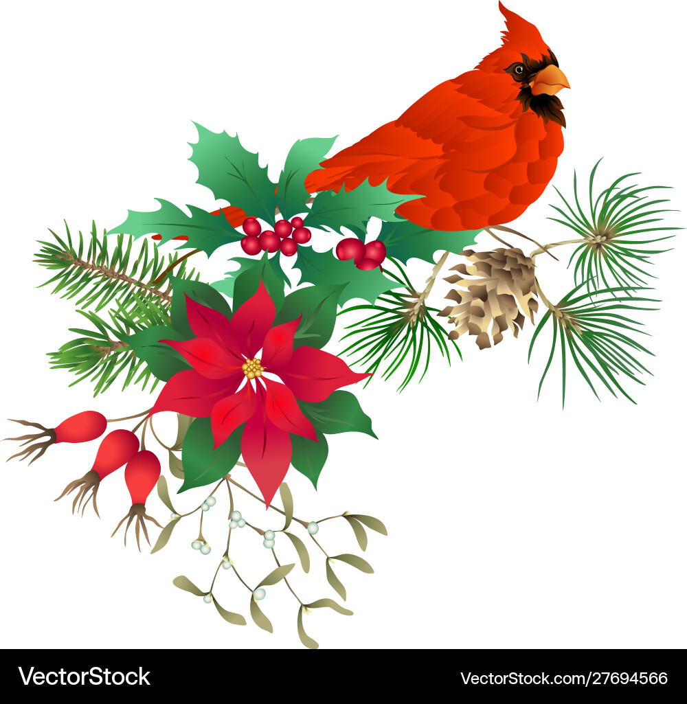 Cardinal bird - symbol christmas Royalty Free Vector Image