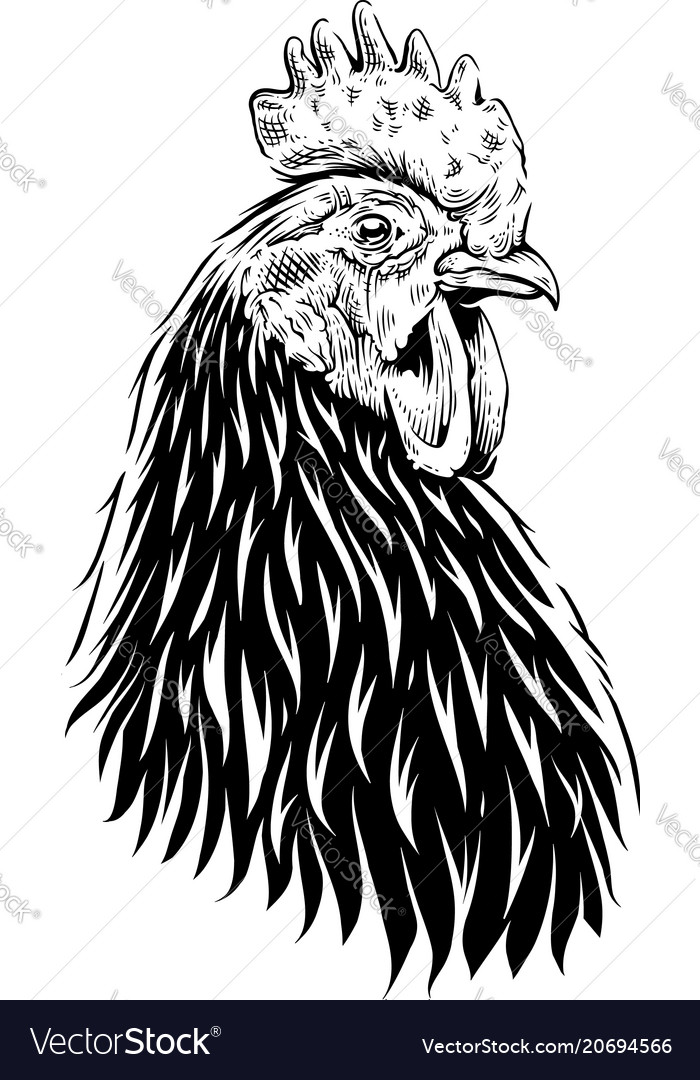 Rooster Royalty Free Vector Image - VectorStock