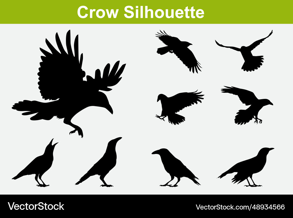 Set of crow silhouettes Royalty Free Vector Image