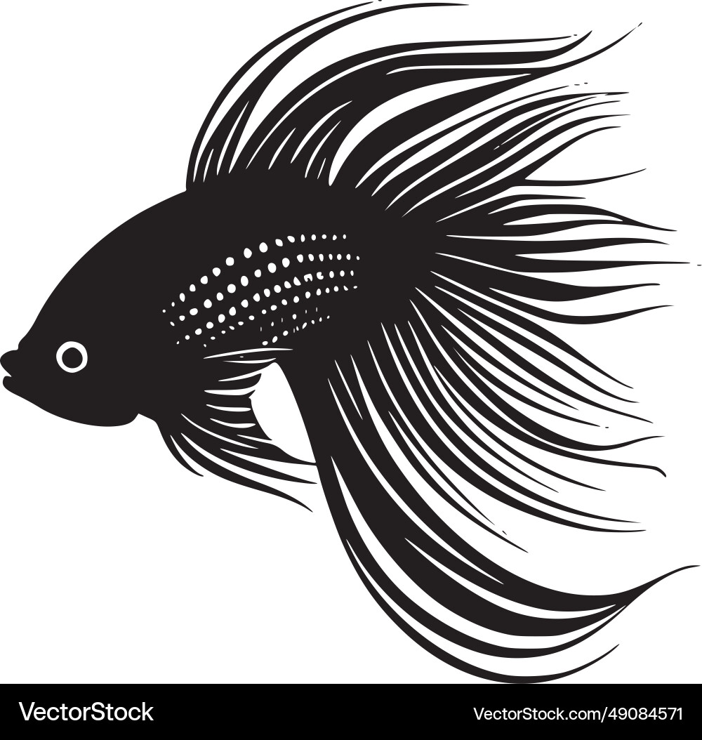 Beta fish - high quality logo - ideal for t-shirt Vector Image