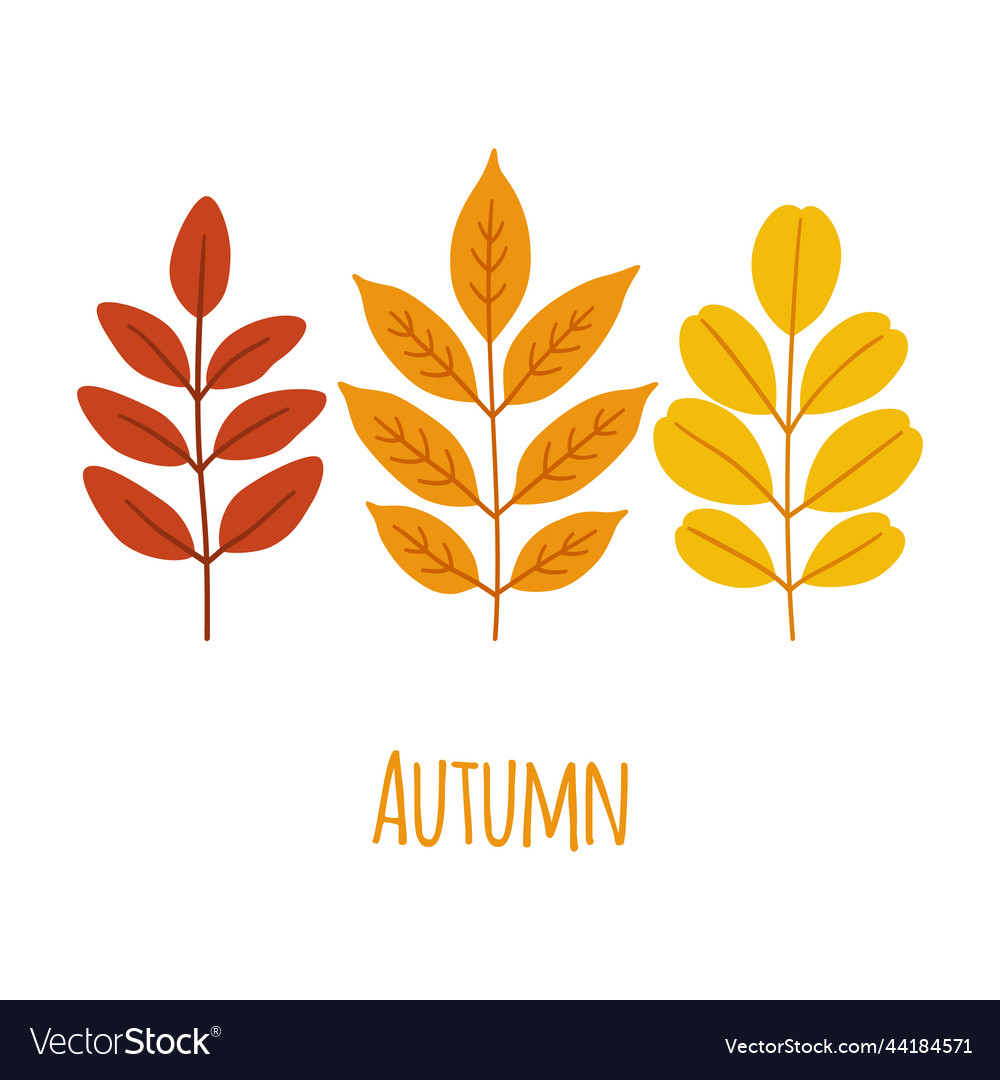 Fall foliage in red orange yellow colors Vector Image