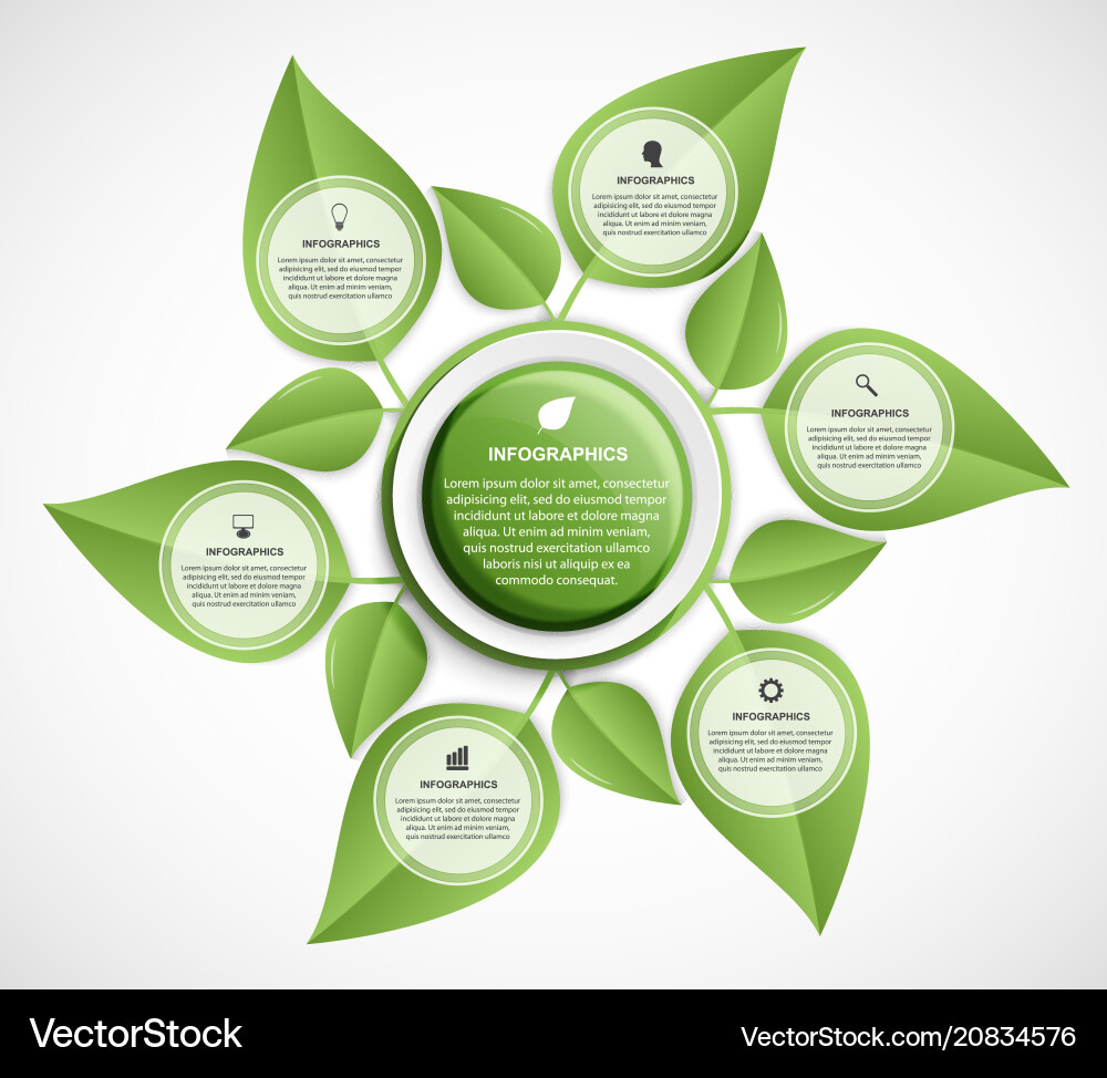 Abstract nature infographic colorful leaves Vector Image