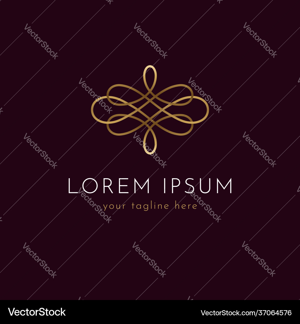Elegant calligraphic line curve logo Royalty Free Vector