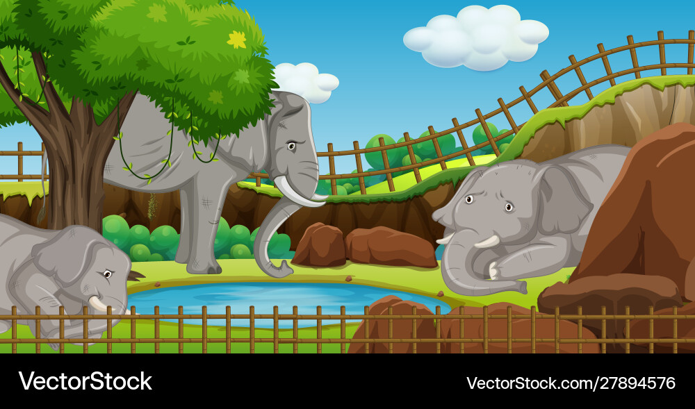 Zoo Clipart