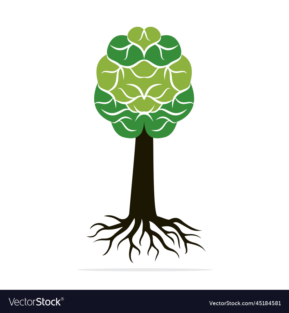 Brain tree roots concept design Royalty Free Vector Image