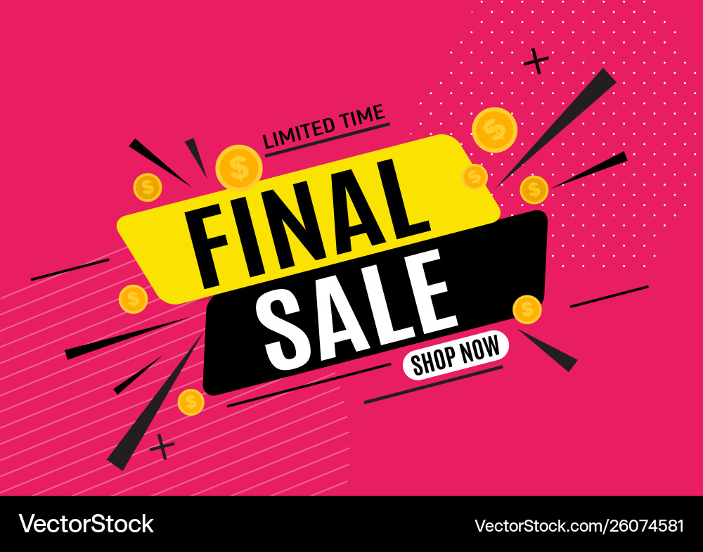Final sale banner poster Royalty Free Vector Image