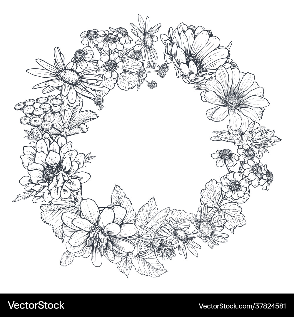 Frame with herb and wildflower elements Royalty Free Vector