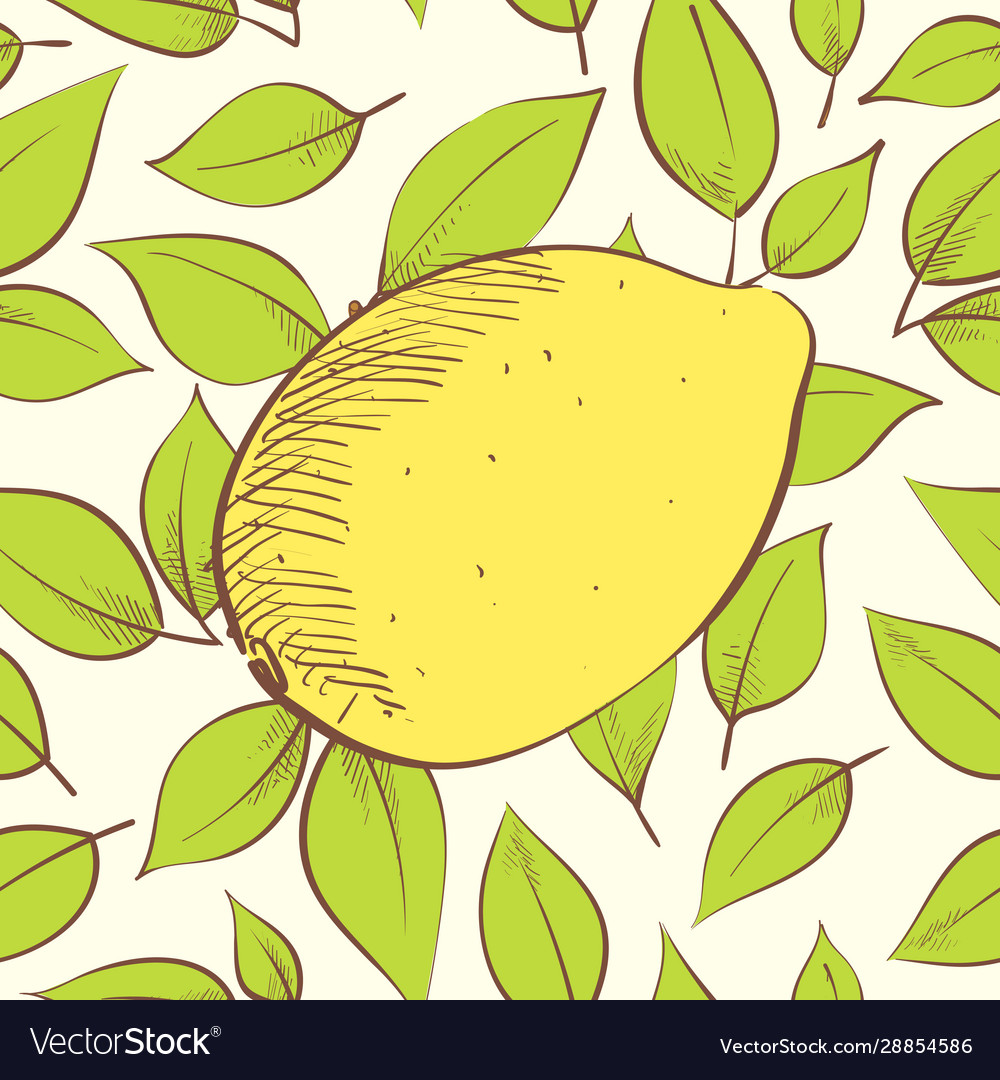 Fresh juicy lemon Royalty Free Vector Image - VectorStock