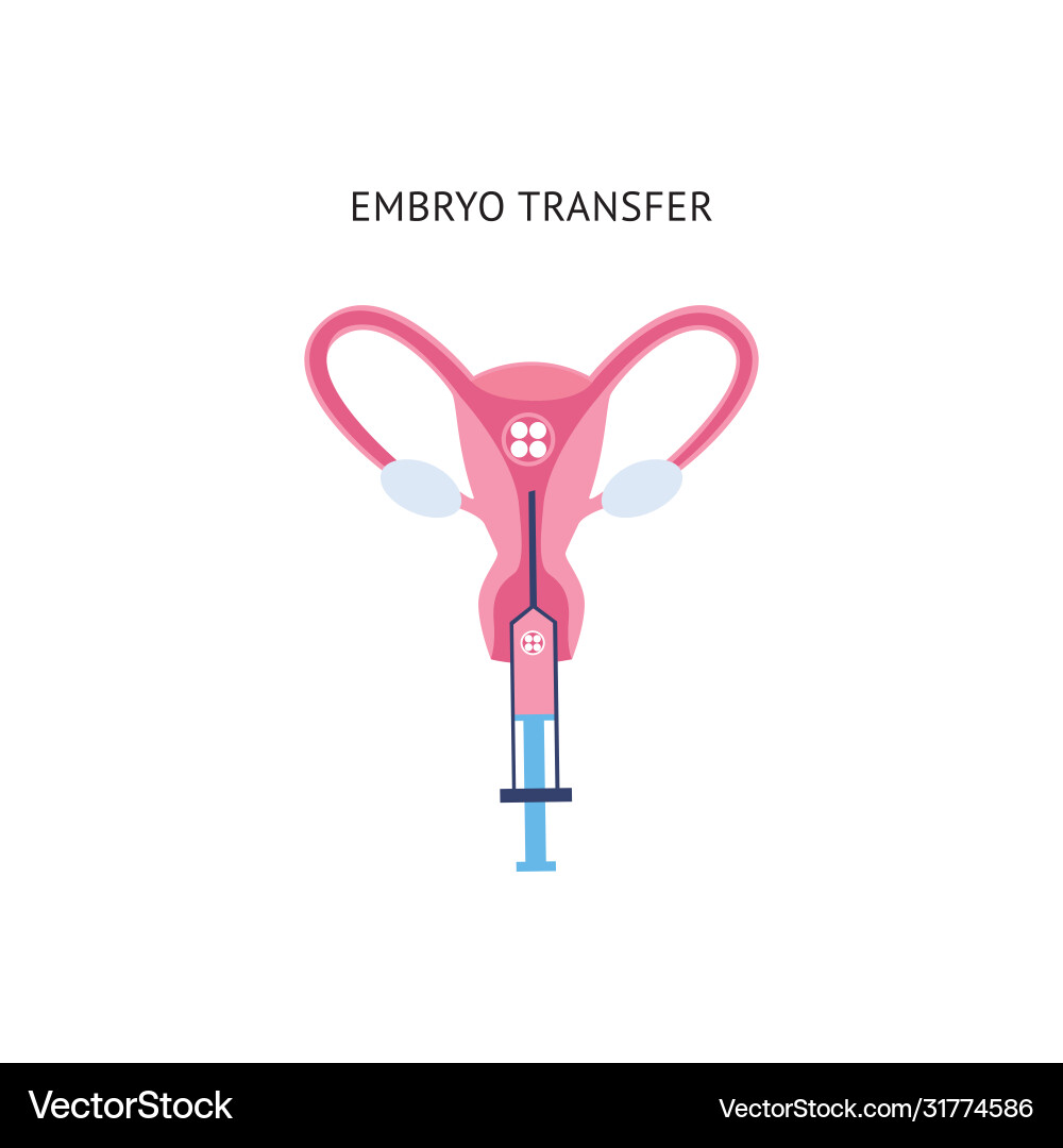 Ovum with needle for in vitro fertilization flat Vector Image