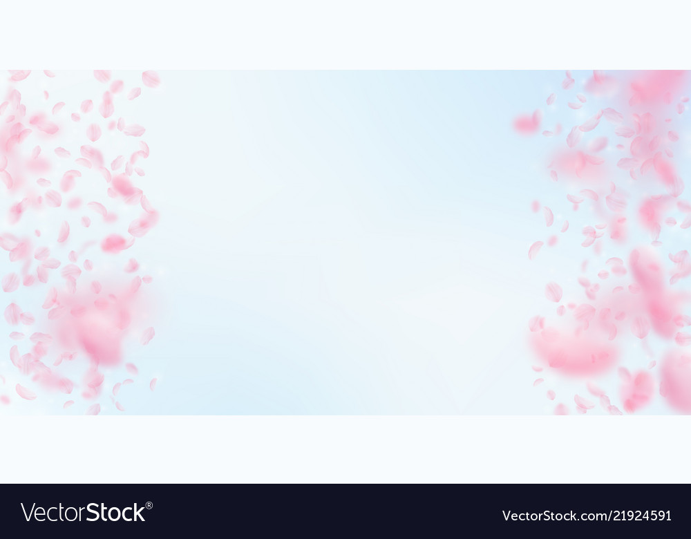 Sakura petals falling down Royalty Free Vector Image