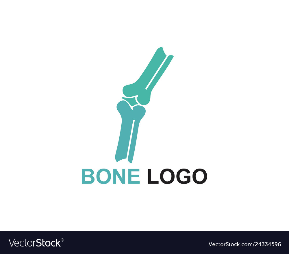 Bone logo template Royalty Free Vector Image - VectorStock
