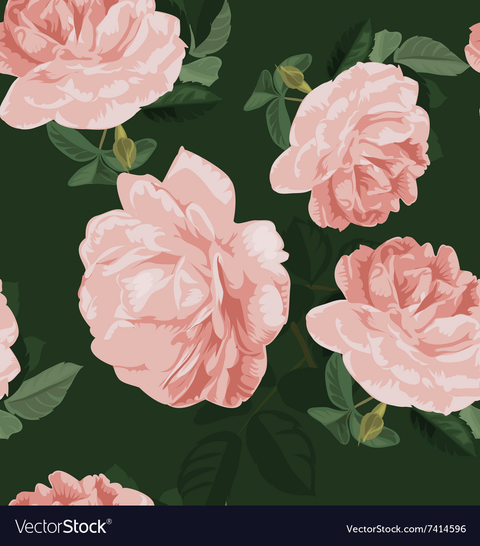 Rose Royalty Free Vector Image - VectorStock