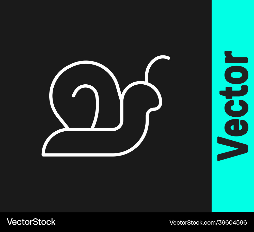 White line snail icon isolated on black background
