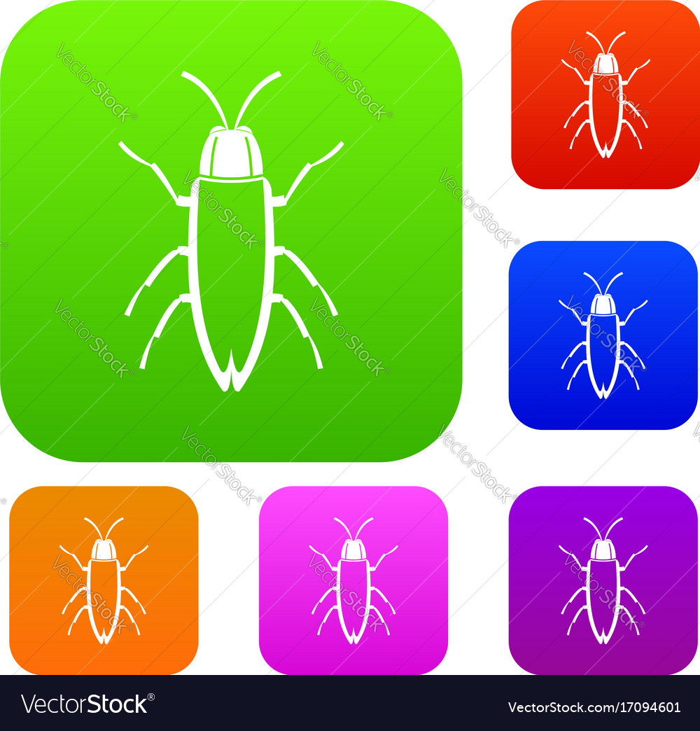 Cockroach set collection Royalty Free Vector Image