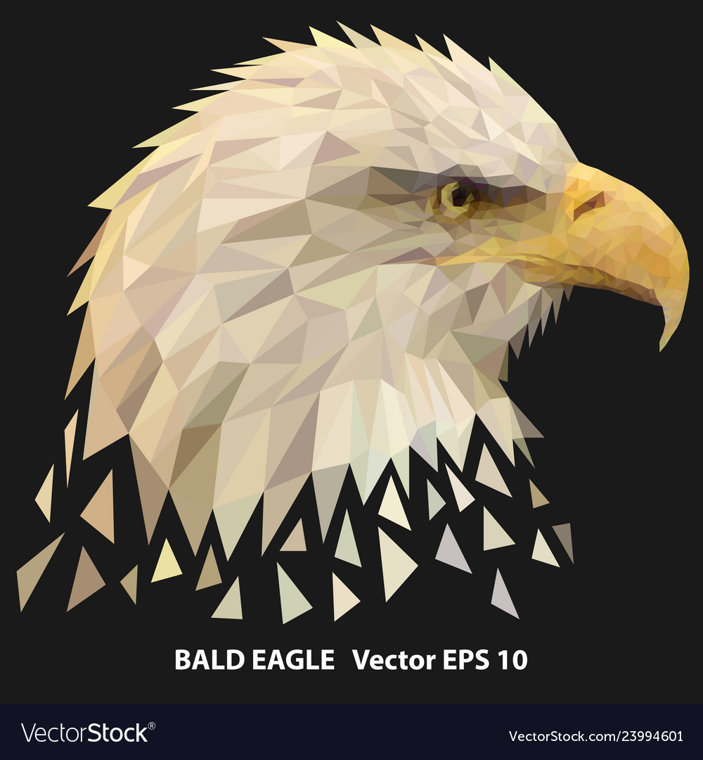 Eagle Royalty Free Vector Image - VectorStock