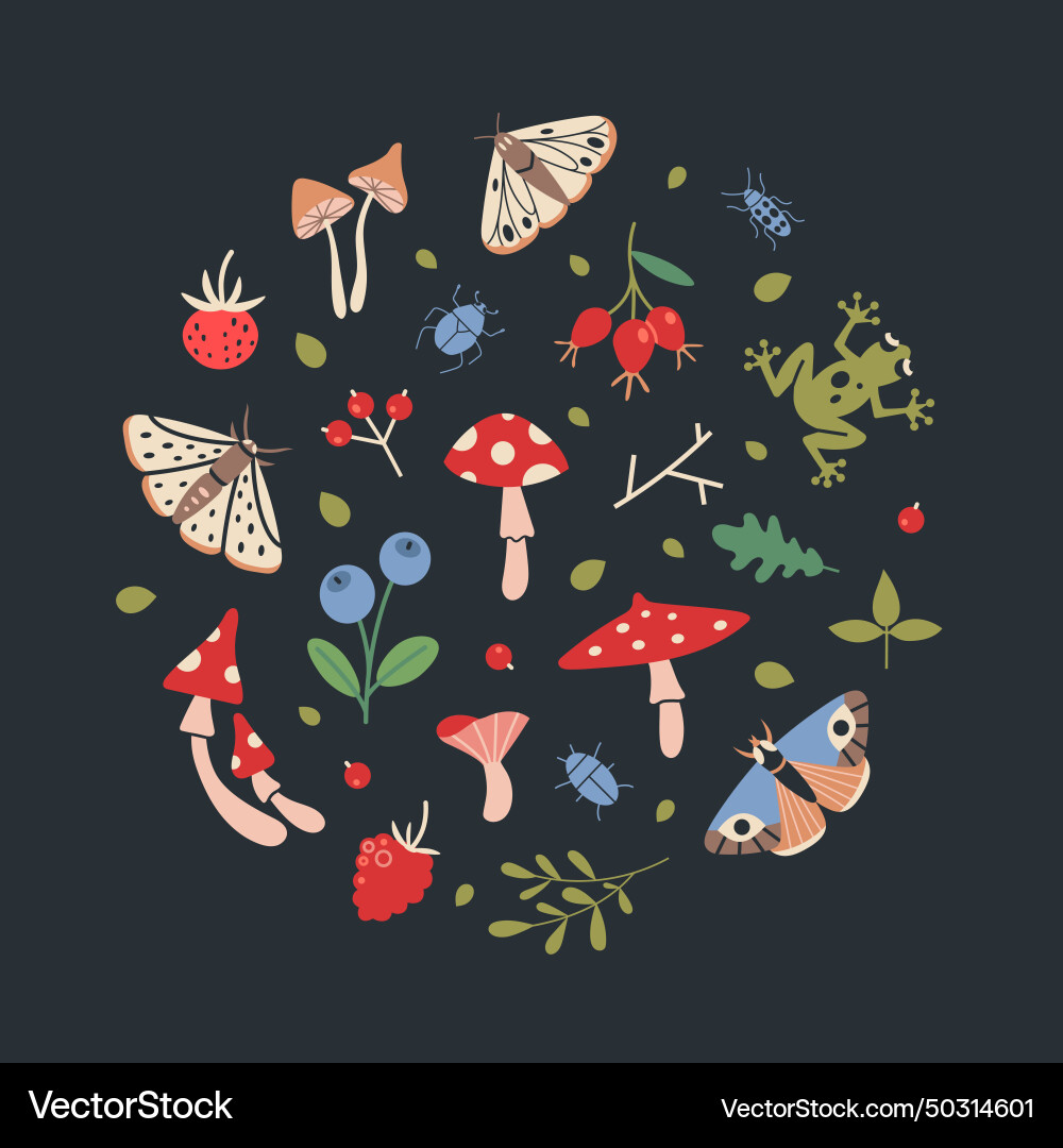 Forest flora and insects nature items set cartoon Vector Image