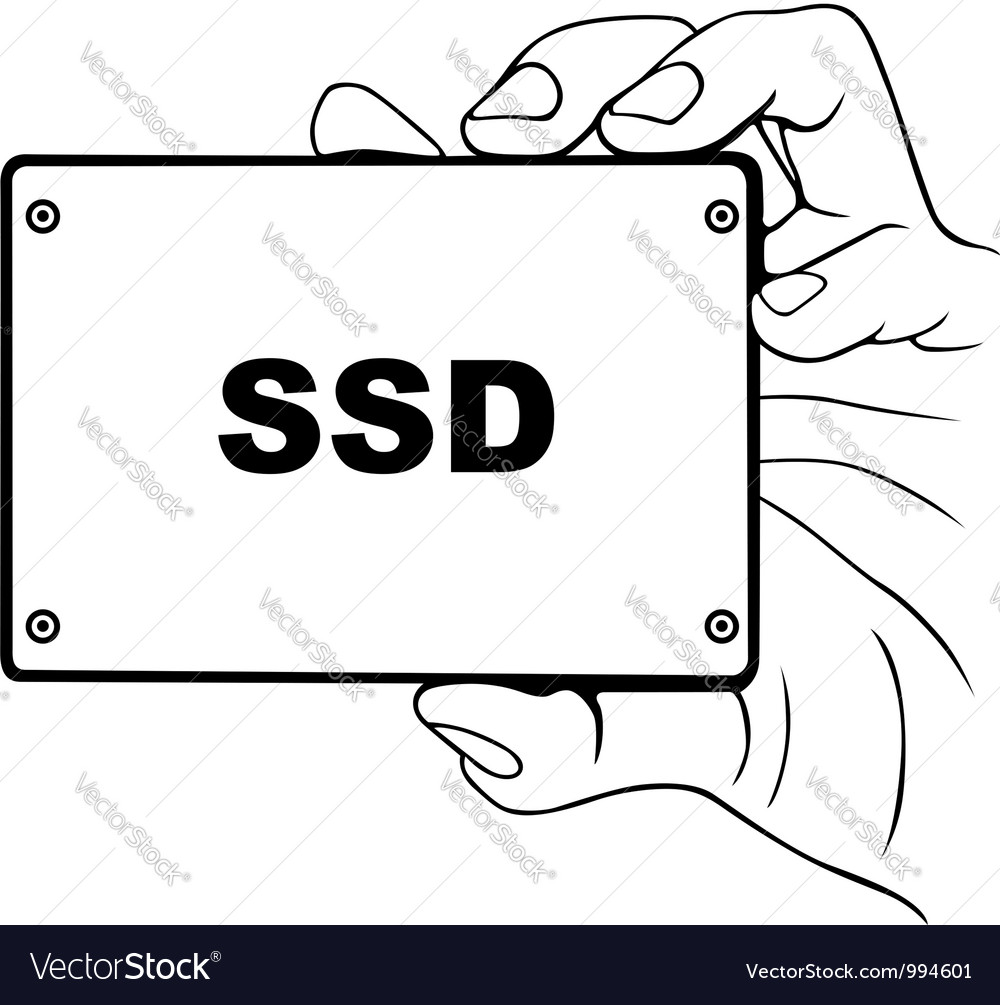 Hand holding solid state drive Royalty Free Vector Image