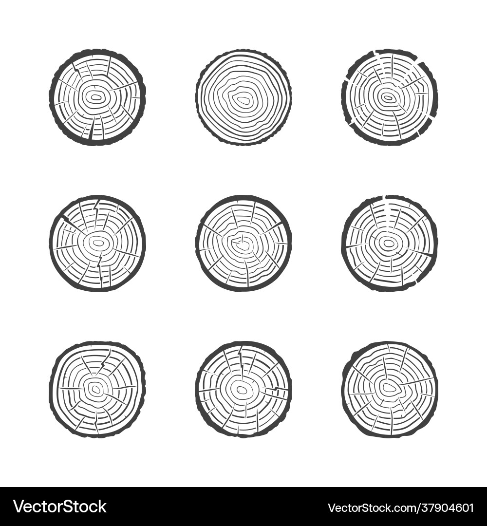 Tree growth rings icons set saw cut trunk Vector Image
