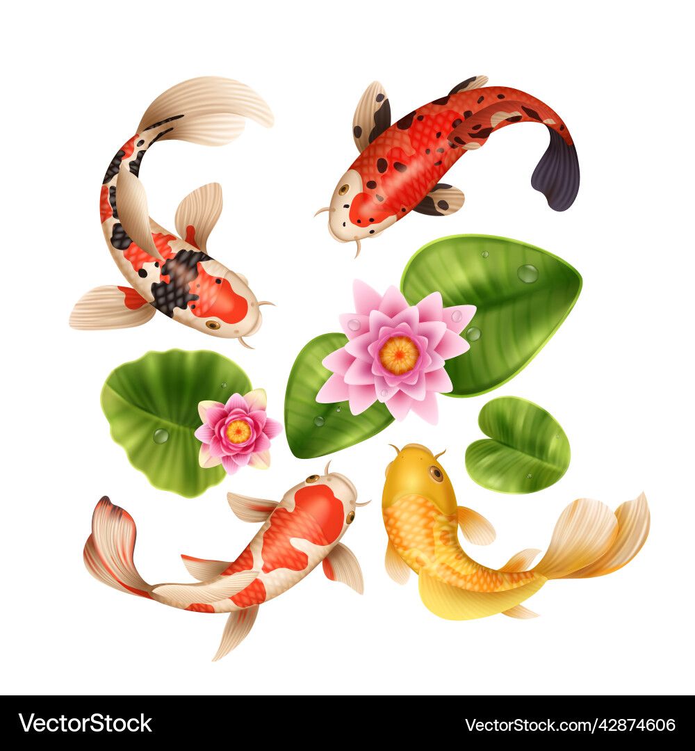 Lake fishes plants composition Royalty Free Vector Image