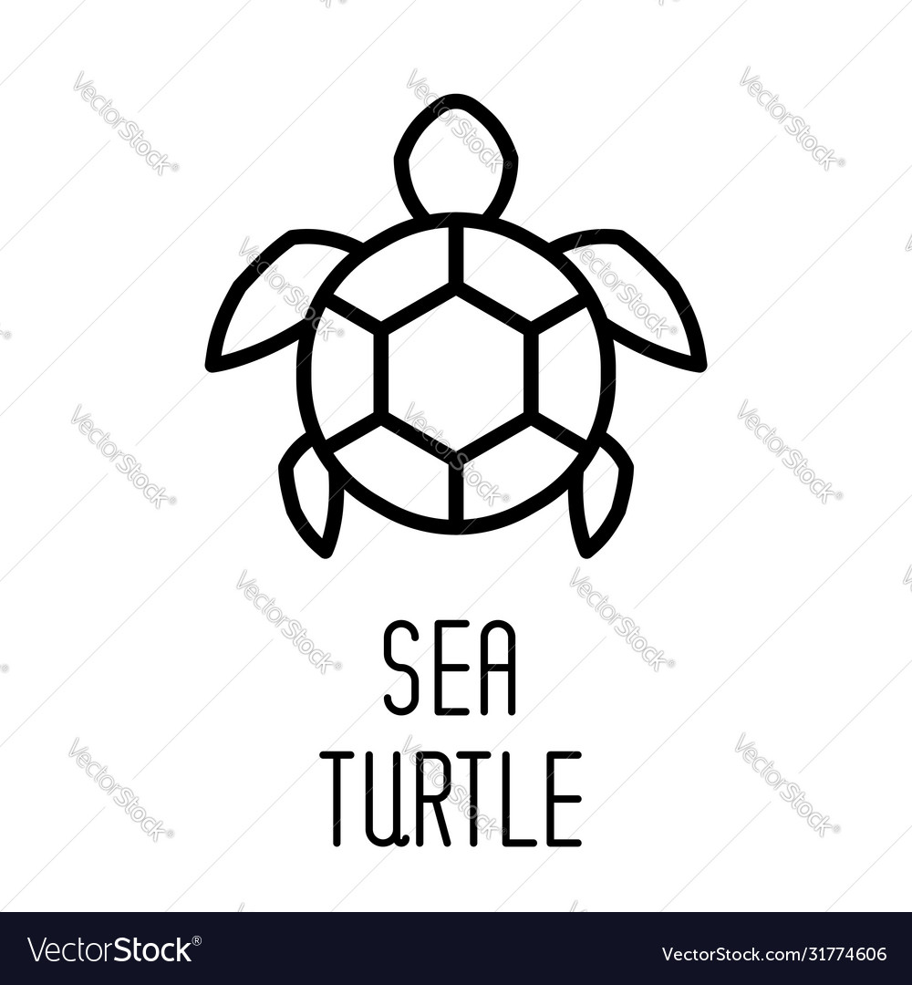 Sea turtle line icon Royalty Free Vector Image