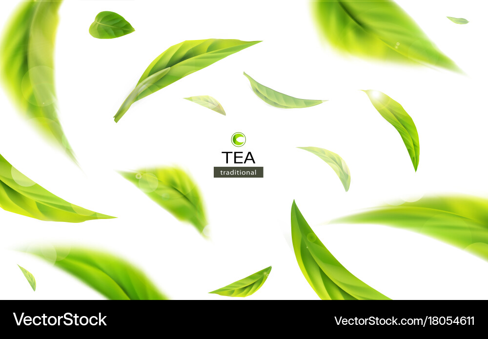 3d with green tea leaves in motion Royalty Free Vector Image