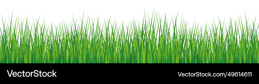 Border of green grass template Royalty Free Vector Image