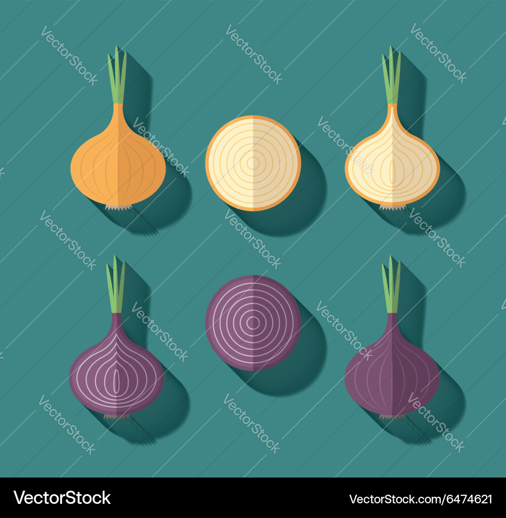 A set of vegetables in flat style - onion Vector Image
