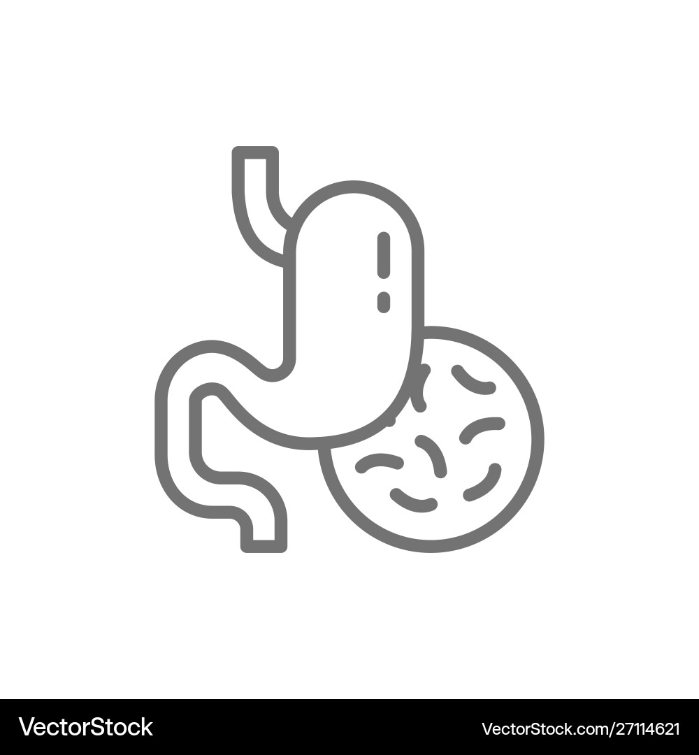 Bacteria in stomach infection line icon Royalty Free Vector