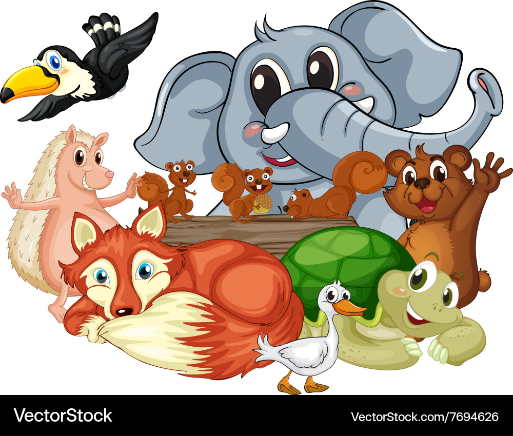 Different kind animals Royalty Free Vector Image