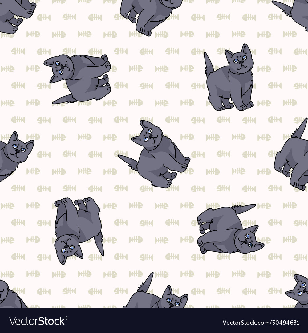 Cute cartoon british shorthair kitten seamless Vector Image
