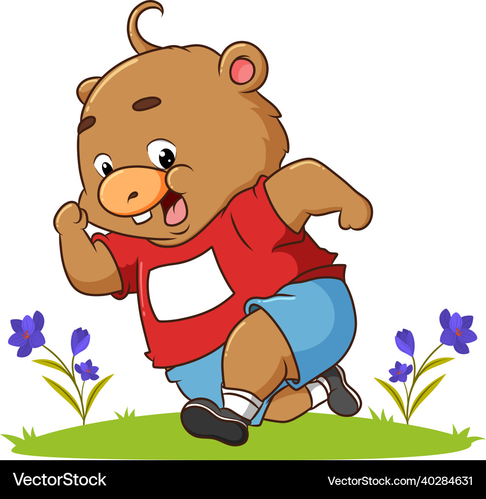 Wombat Cartoon Working 700+ Wombat Cartoon Stock Illustrations,