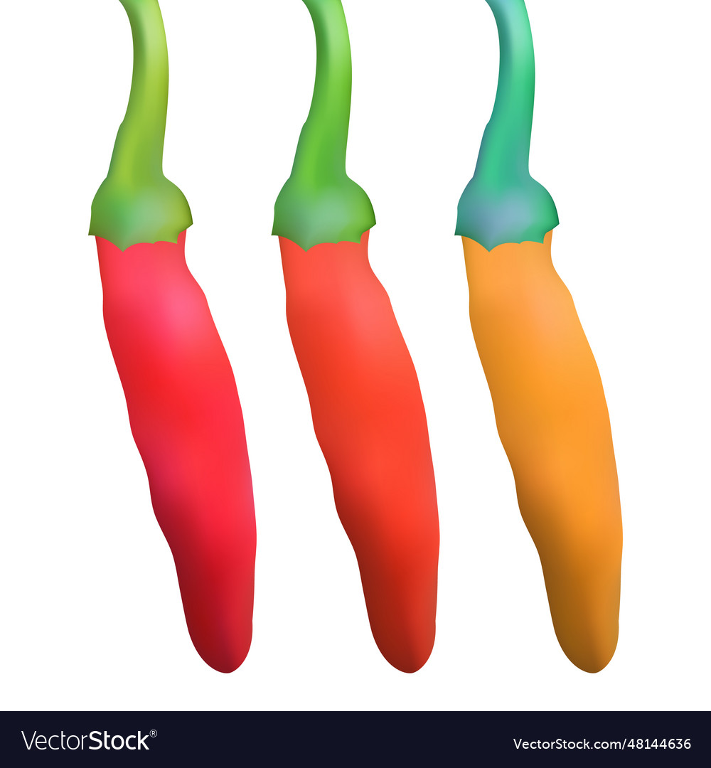 Chilli set Royalty Free Vector Image - VectorStock